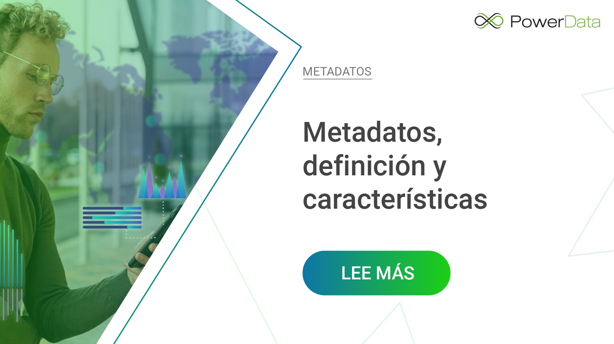 Metadatos, definición y características